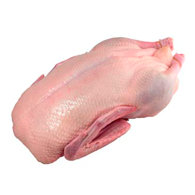 WHOLE DUCK CULVER HOFO – West Lake Foods