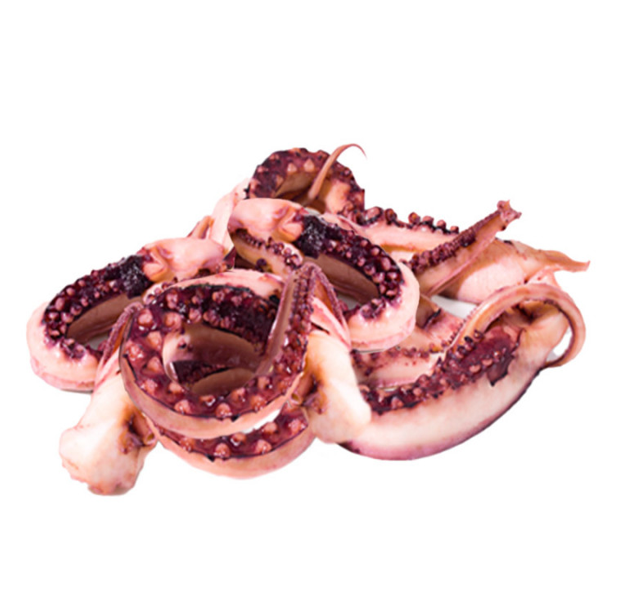SQUID WHOLE RAW GIANT TENTACLES – West Lake Foods